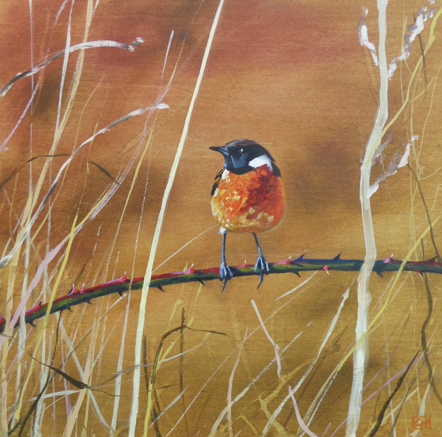 Stonechat in the Bramble – philippa mitchell artist